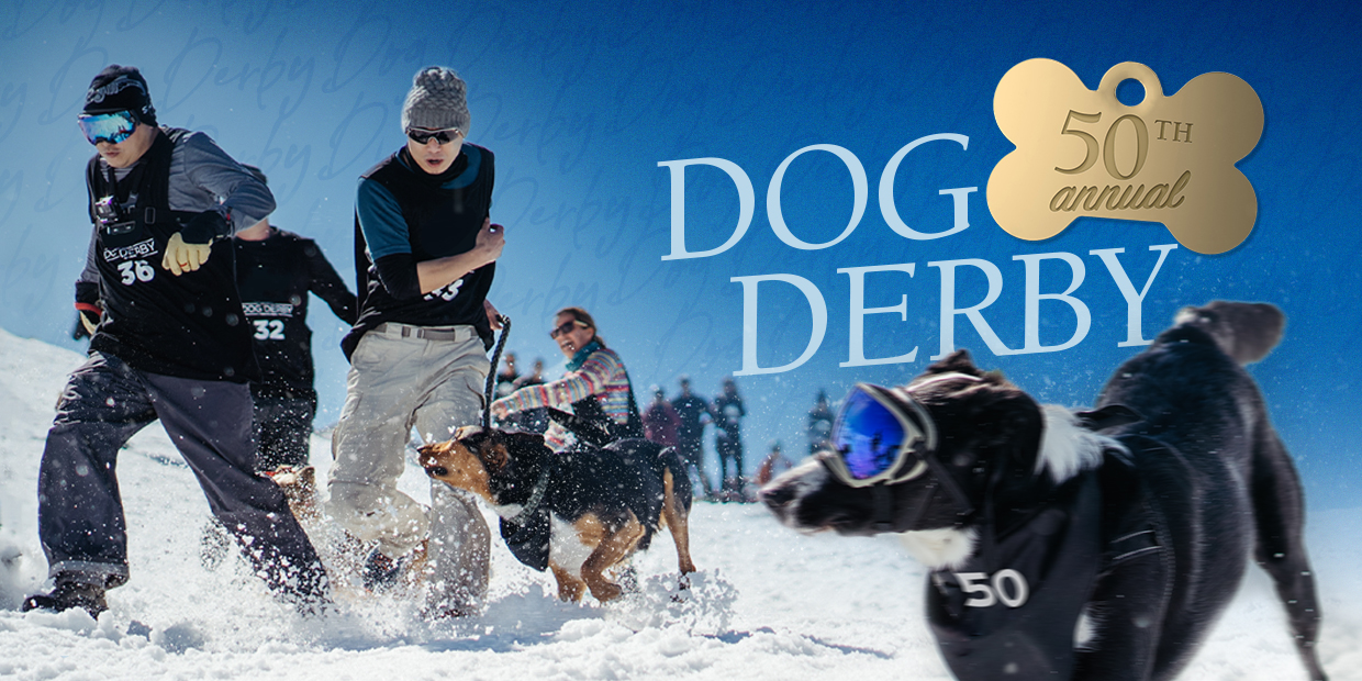 Dog Derby - Coronet Peak | Ski New Zealand